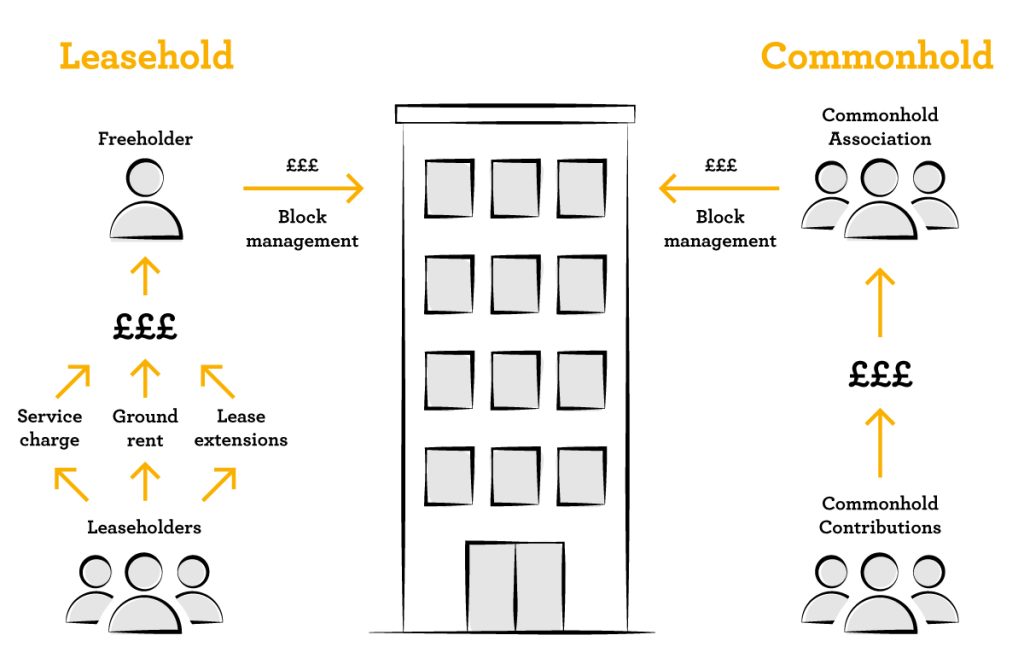 Understanding the leasehold ban and its implications for landlords ...